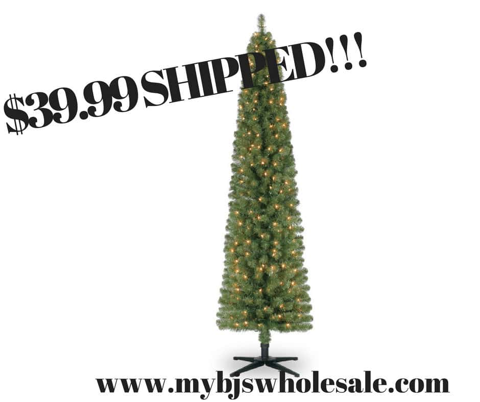 Ashland Pre-Lit 7 Foot Pencil Artificial Christmas Tree Only $39.99 ...